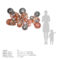 Design your own - Organic Garland - Sparky's Balloons